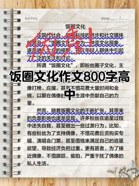 饭圈什么意思_饭圈文化如何影响年轻人-第2张图片-山城妙识