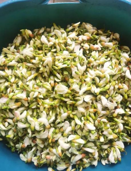 蒸槐花需要多长时间_槐花蒸多久才熟-第1张图片-山城妙识