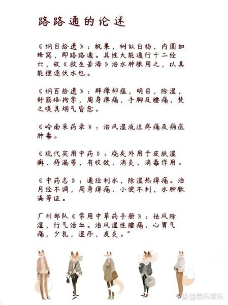 路路通的功效与作用_路路通能治什么病-第2张图片-山城妙识