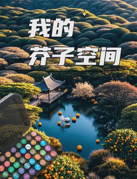 芥子空间是什么_芥子空间怎么用-第1张图片-山城妙识