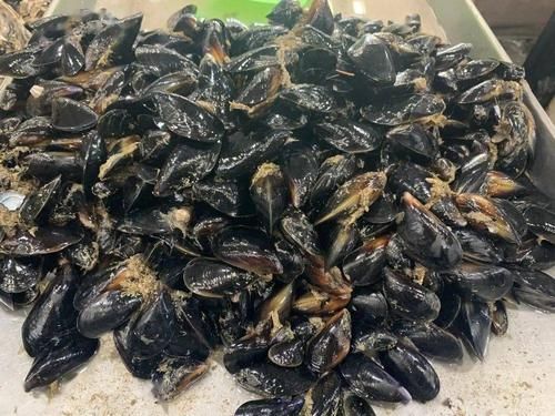 蛤蜊肚子里黑色的要挤出来吗_黑色部位能不能吃-第3张图片-山城妙识