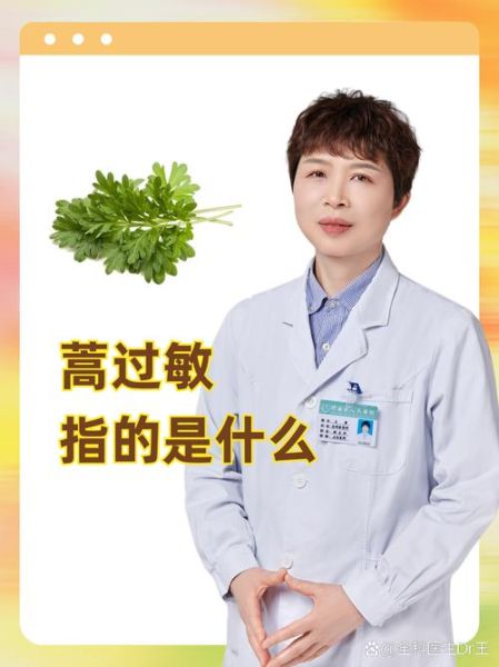 蒿草过敏症状_蒿草过敏怎么办-第3张图片-山城妙识 蒿草过敏症状_蒿草过敏怎么办-第3张图片-山城妙识