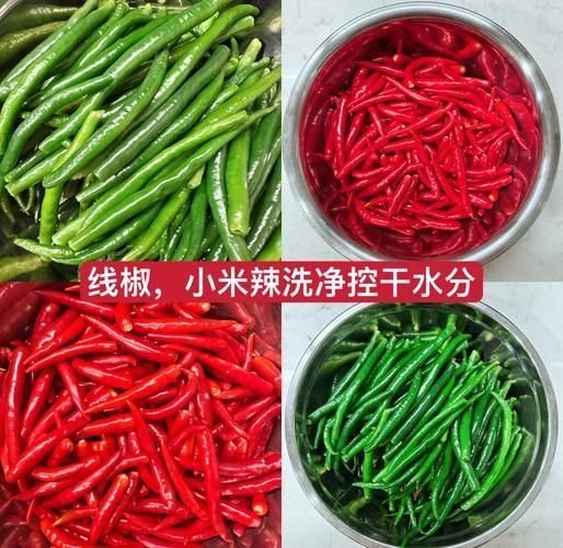 青辣椒怎么做辣椒酱_青辣椒酱保存多久-第2张图片-山城妙识