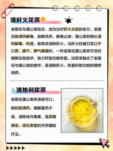 蒲公英茶的功效与禁忌_哪些人不能喝-第3张图片-山城妙识