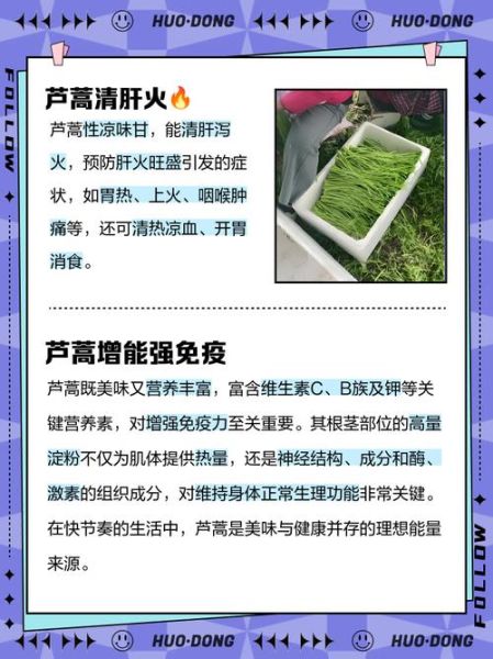 芦蒿的营养价值_芦蒿怎么吃最健康-第2张图片-山城妙识