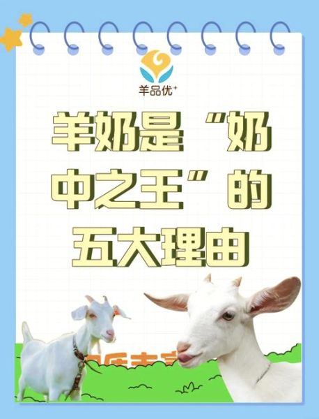 为什么中国不提倡喝羊奶_羊奶和牛奶哪个更适合中国人-第1张图片-山城妙识