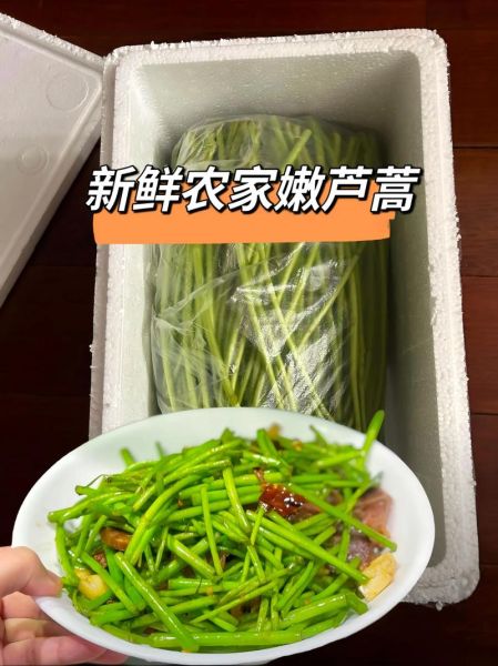 芦蒿的营养价值_芦蒿怎么吃最健康-第3张图片-山城妙识