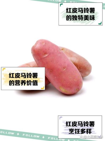 红土豆和普通土豆有什么区别_哪个更好吃-第3张图片-山城妙识