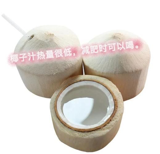 椰肉营养价值高吗_椰肉热量高不高-第3张图片-山城妙识