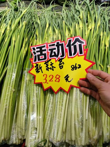 蒜苔多少钱一斤现在市场价_蒜苔价格走势-第1张图片-山城妙识