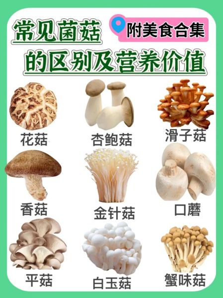 哪种蘑菇最好吃_十大美味蘑菇排名-第2张图片-山城妙识