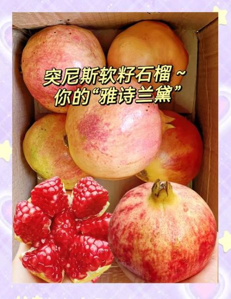 突尼斯软籽石榴对女人有什么好处_经期能吃吗-第3张图片-山城妙识 突尼斯软籽石榴对女人有什么好处_经期能吃吗-第3张图片-山城妙识