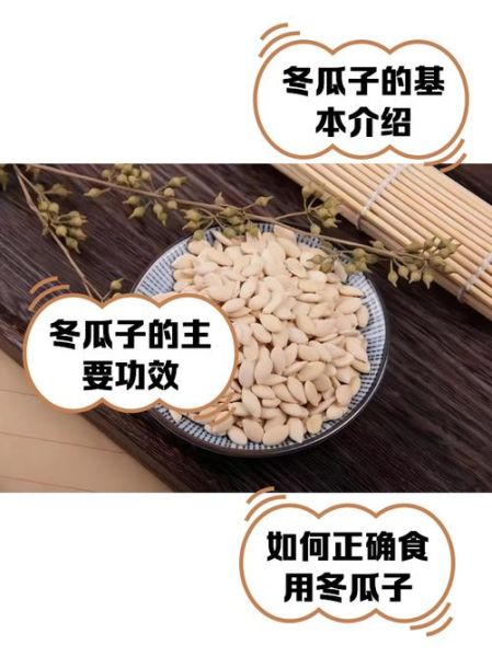 冬瓜仁图片长什么样_冬瓜仁真假辨别方法-第2张图片-山城妙识