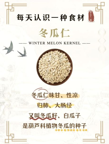 冬瓜仁图片长什么样_冬瓜仁真假辨别方法-第1张图片-山城妙识