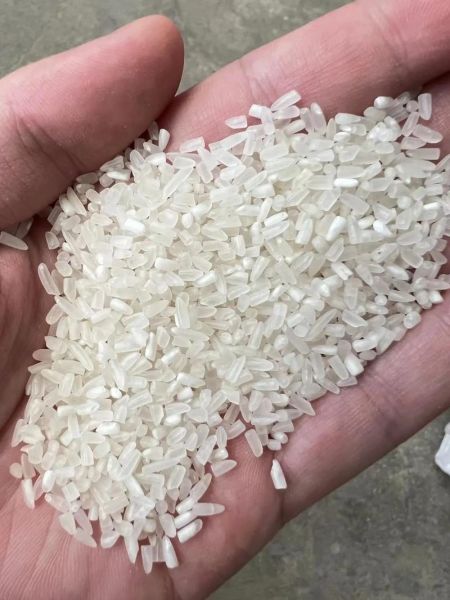 大米图片大全大图_如何挑选优质大米-第3张图片-山城妙识