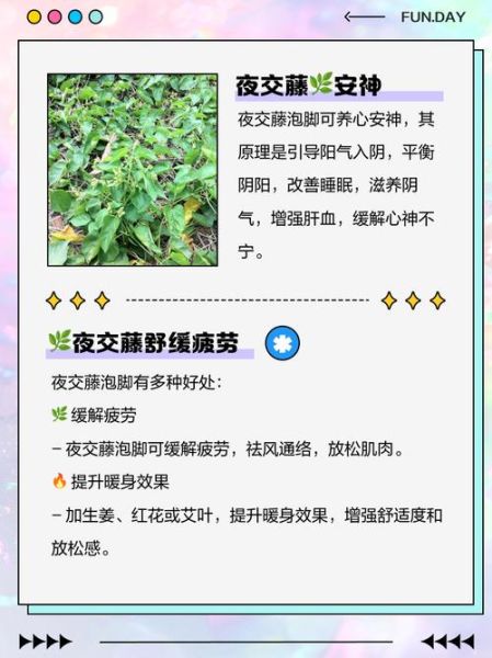 夜交藤治疗失眠的用法_夜交藤怎样服用-第1张图片-山城妙识 夜交藤治疗失眠的用法_夜交藤怎样服用-第1张图片-山城妙识