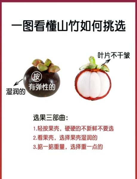 山竹产地主要在哪个省_国内山竹主产区分布-第1张图片-山城妙识