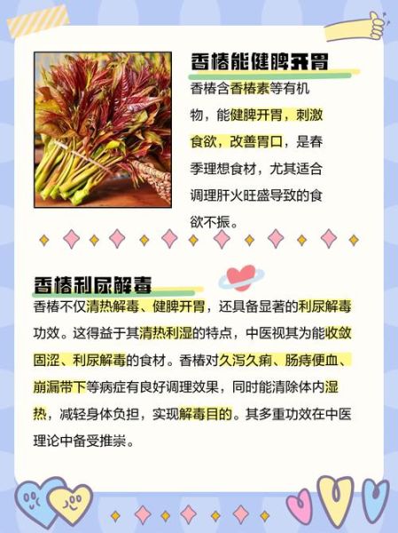 香椿的营养价值_香椿的药用价值-第2张图片-山城妙识