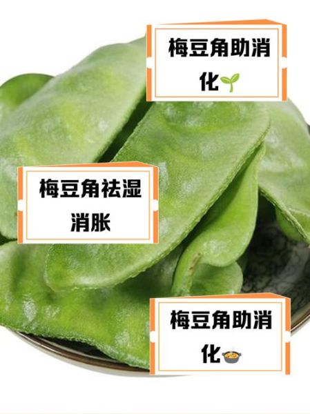 梅豆的功效与作用_梅豆的禁忌有哪些-第1张图片-山城妙识