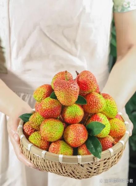 怀孕前三个月能吃荔枝吗_孕妇吃荔枝注意事项-第3张图片-山城妙识