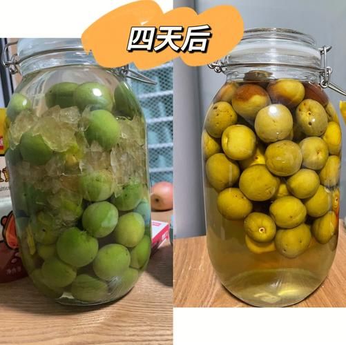 青梅酒怎么泡_青梅酒用什么酒好-第3张图片-山城妙识 青梅酒怎么泡_青梅酒用什么酒好-第3张图片-山城妙识