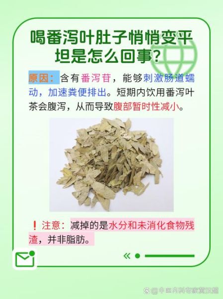 喝了一个月番泻叶瘦了_番泻叶减肥副作用-第1张图片-山城妙识