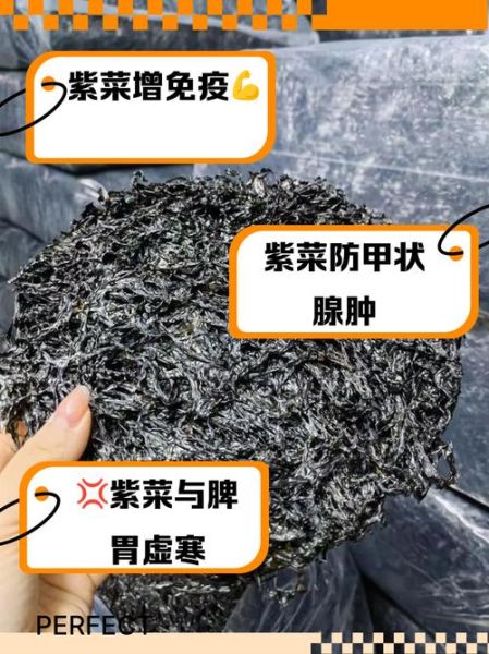 紫菜的功效与作用及禁忌_什么人不能吃紫菜-第3张图片-山城妙识 紫菜的功效与作用及禁忌_什么人不能吃紫菜-第3张图片-山城妙识