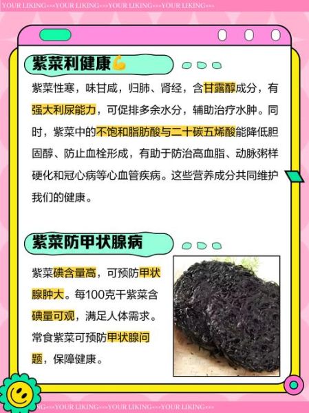 紫菜的功效与作用及禁忌_什么人不能吃紫菜-第2张图片-山城妙识 紫菜的功效与作用及禁忌_什么人不能吃紫菜-第2张图片-山城妙识