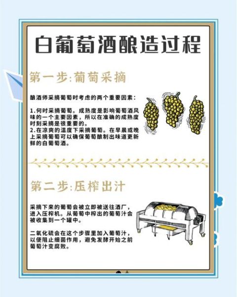 葡萄酒怎么酿_葡萄酒制作步骤详解-第3张图片-山城妙识