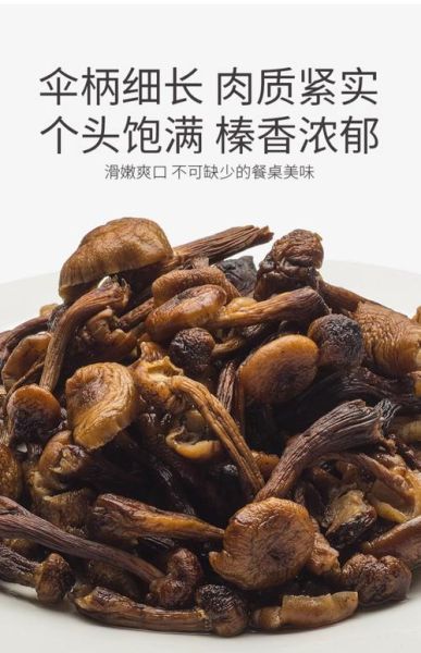 榛蘑菇的营养价值_榛蘑菇的功效与作用-第3张图片-山城妙识 榛蘑菇的营养价值_榛蘑菇的功效与作用-第3张图片-山城妙识