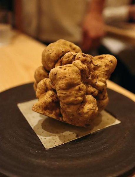 白松露大餐怎么做_白松露价格为什么这么贵-第3张图片-山城妙识 白松露大餐怎么做_白松露价格为什么这么贵-第3张图片-山城妙识