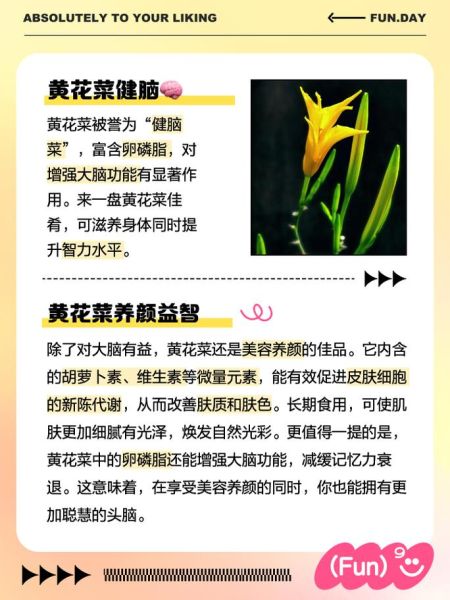 新鲜黄花菜怎么吃才安全_去毒步骤详解-第3张图片-山城妙识 新鲜黄花菜怎么吃才安全_去毒步骤详解-第3张图片-山城妙识