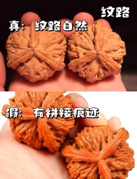 正宗野生核桃图片_如何辨别真假-第1张图片-山城妙识