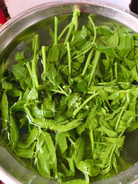 香椿芽炒肉怎么做_香椿芽炒肉用焯水吗-第2张图片-山城妙识 香椿芽炒肉怎么做_香椿芽炒肉用焯水吗-第2张图片-山城妙识