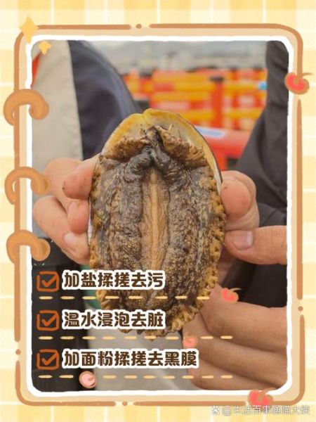 鲍鱼怎么清理才干净_鲍鱼清洗内脏步骤-第3张图片-山城妙识 鲍鱼怎么清理才干净_鲍鱼清洗内脏步骤-第3张图片-山城妙识