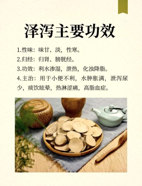 泽泻的功效与作用_泽泻的正确吃法-第1张图片-山城妙识