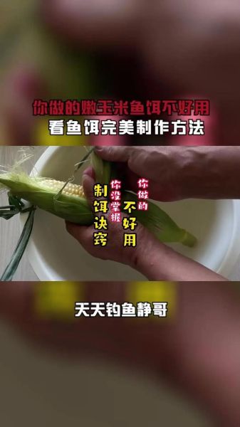 玉米粉怎么做鱼饵_玉米粉鱼饵配方-第2张图片-山城妙识
