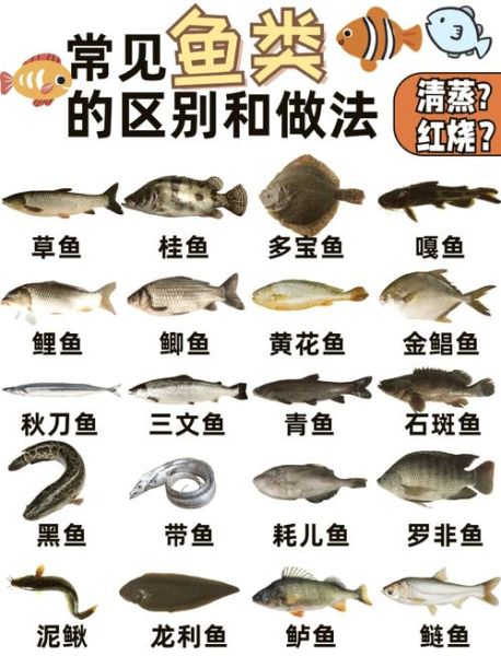 青鱼和草鱼哪个好吃_青鱼和草鱼的区别-第1张图片-山城妙识