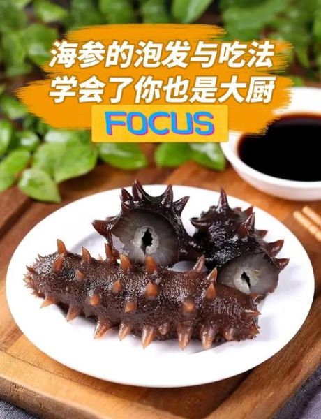 干海参怎么吃效果最好_泡发与烹饪全攻略-第1张图片-山城妙识 干海参怎么吃效果最好_泡发与烹饪全攻略-第1张图片-山城妙识