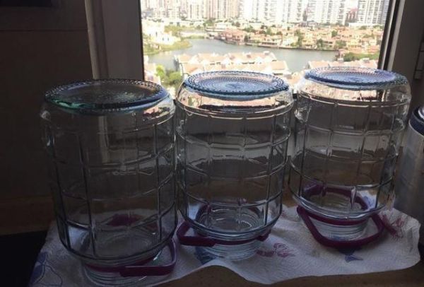 自制葡萄酒怎么做_家庭自酿葡萄酒全过程-第2张图片-山城妙识