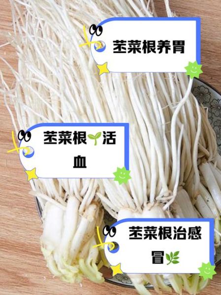 通菜根的功效与作用_通菜根怎么吃最好-第1张图片-山城妙识