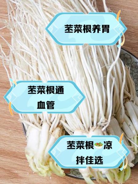 通菜根的功效与作用_通菜根怎么吃最好-第3张图片-山城妙识