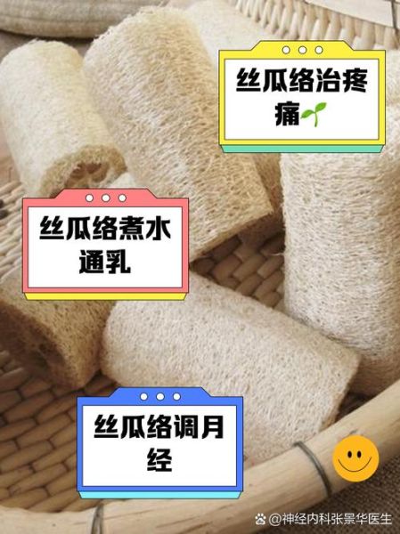 粤丝瓜络的功效与作用_粤丝瓜络可以天天喝吗-第1张图片-山城妙识