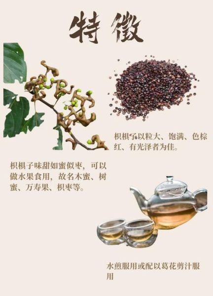 枳椇子功效与作用_枳椇子怎么吃效果最好-第2张图片-山城妙识 枳椇子功效与作用_枳椇子怎么吃效果最好-第2张图片-山城妙识