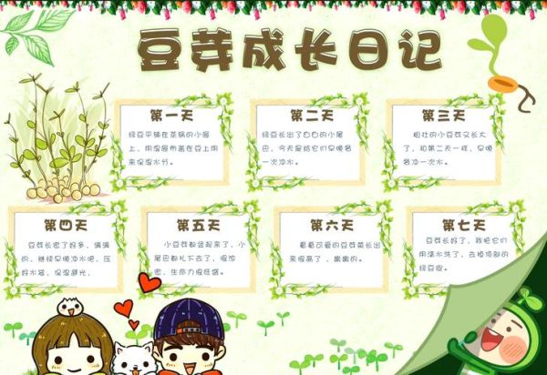 黄豆芽怎么发_黄豆芽七天观察日记-第1张图片-山城妙识 黄豆芽怎么发_黄豆芽七天观察日记-第1张图片-山城妙识