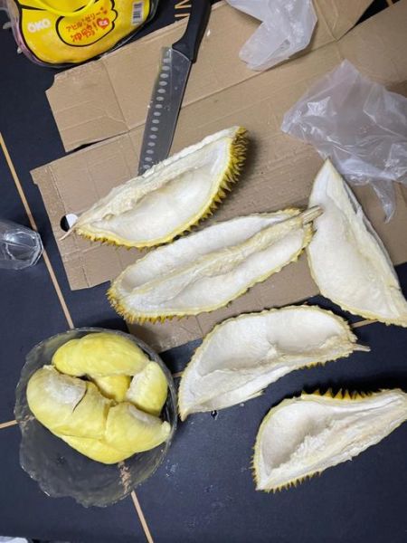 旧版榴莲app怎么下载_旧版榴莲app还能用吗-第1张图片-山城妙识