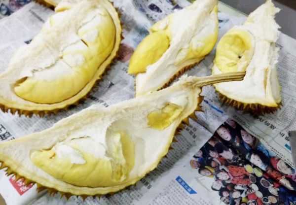 旧版榴莲app怎么下载_旧版榴莲app还能用吗-第3张图片-山城妙识