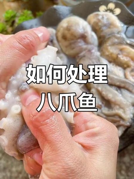 八爪鱼怎么清洗内脏_八爪鱼内脏能吃吗-第1张图片-山城妙识