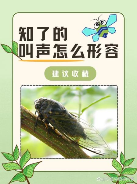 知了背调查什么_知了背调多久出结果-第3张图片-山城妙识