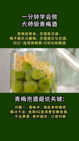 自制青梅酒的做法_青梅酒用什么酒泡最好-第1张图片-山城妙识